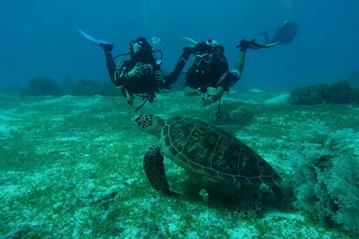 Alona Bohol Divers Club | 潜水中心 | The best places to practice Diving in ...