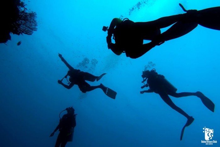 Alona Bohol Divers Club | 潜水中心 | The best places to practice Diving in ...