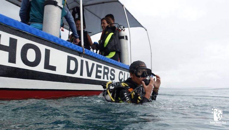 The best places to practice Diving in Philippines • Bohol Diver Club