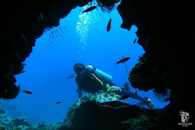 Scuba Diving Areas in Bohol We have several places to do Scuba diving