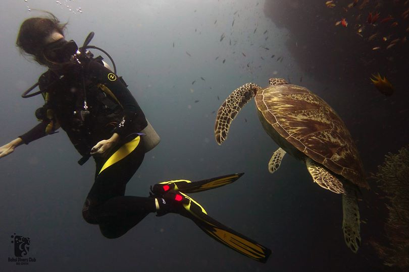 Dive Center Bohol in Alona Beach Philippines Online ¡Book Now!