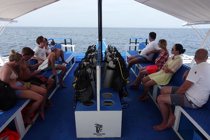 Island Scuba Diving Sites • Bohol Divers Club | Dive Center