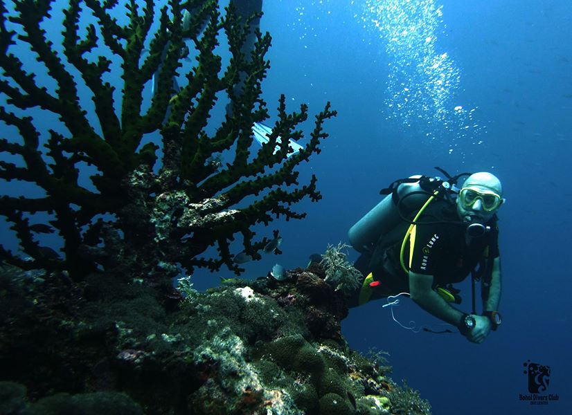 Scuba Diving Areas in Bohol We have several places to do Scuba diving