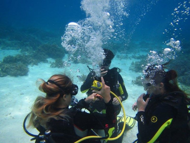 Scuba Diving Areas in Bohol We have several places to do Scuba diving