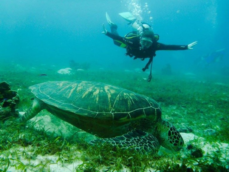 Scuba Diving Areas in Bohol We have several places to do Scuba diving