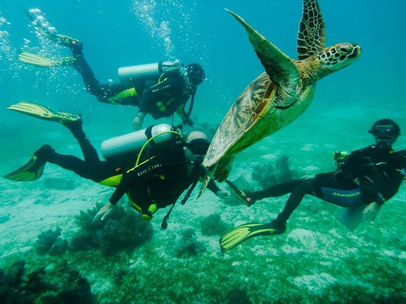 Scuba Diving Areas in Bohol We have several places to do Scuba diving