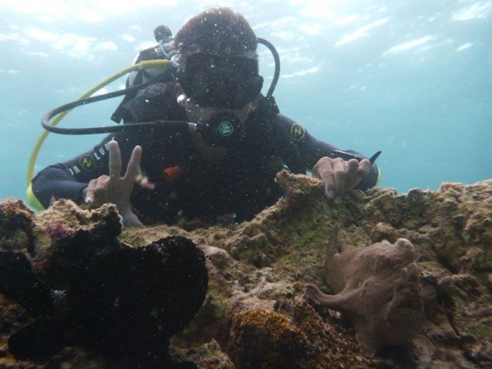 Scuba Diving Areas in Bohol We have several places to do Scuba diving