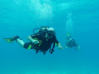 Alona Bohol Divers Club - Dive Center in Philippines