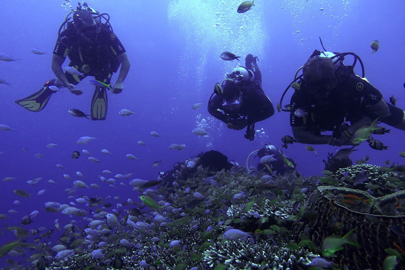Scuba Diving Areas in Bohol We have several places to do Scuba diving