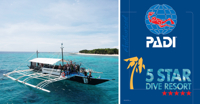 Bohol Divers Club - Dive Center in Philippines