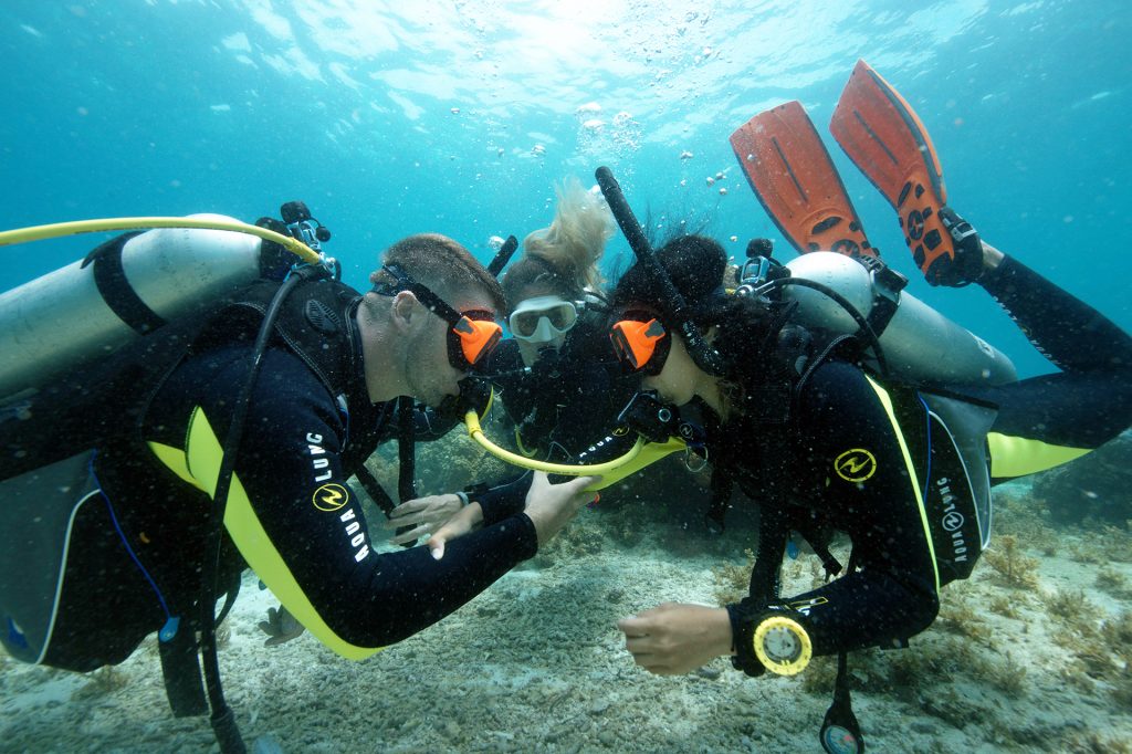PADI Open Water Course • Bohol Divers | Dive Center Philippines