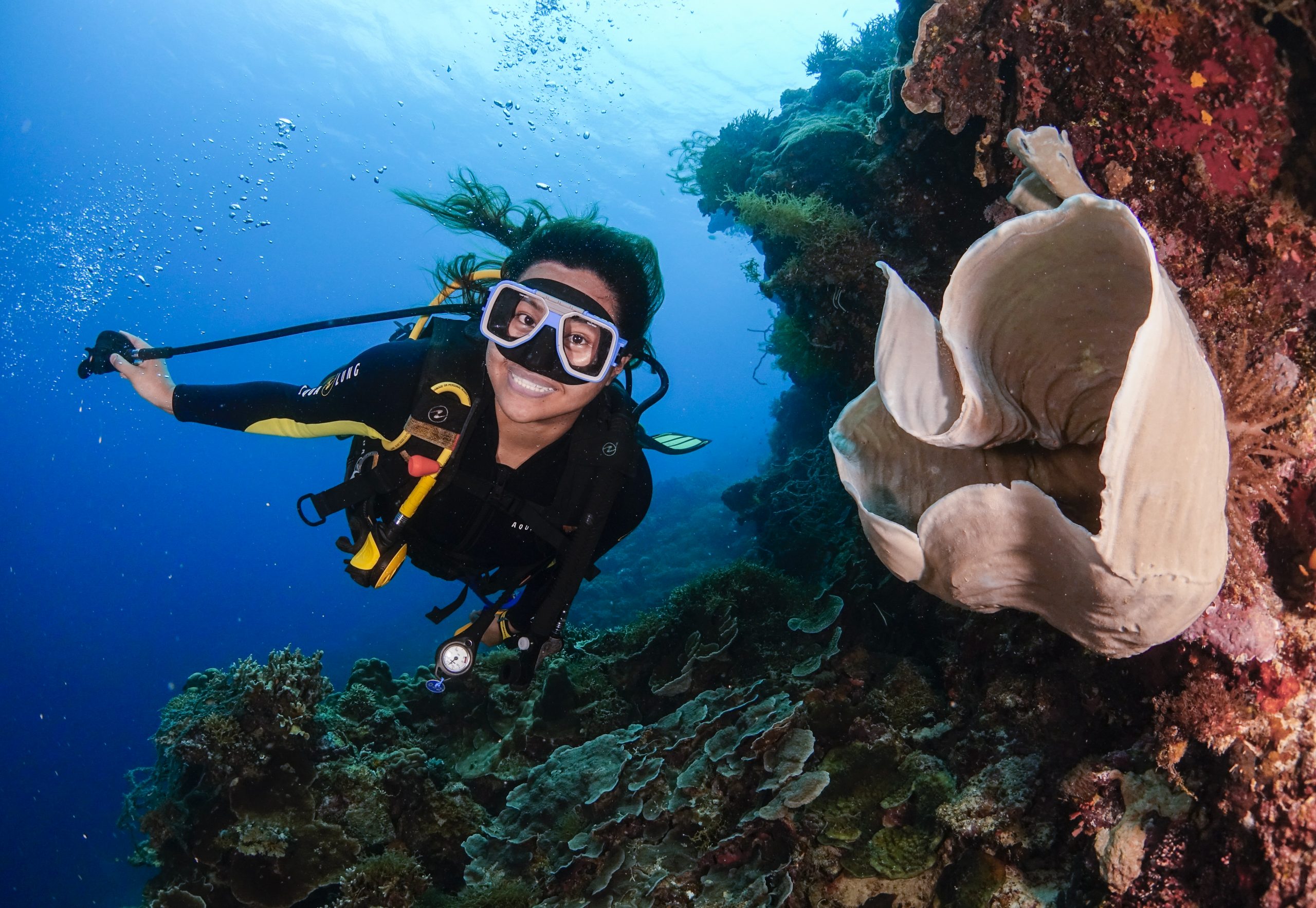 Incredible Fun Dives & Island Scuba Trips with Bohol Divers