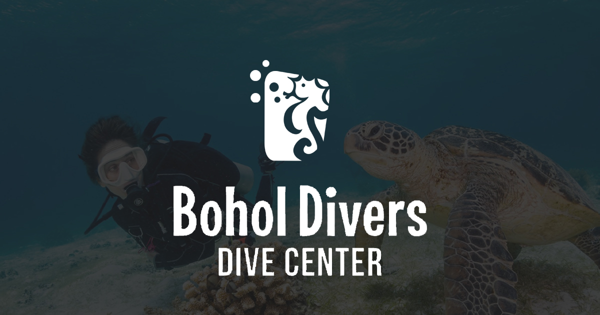 Bohol Divers Club - Dive Center in Philippines